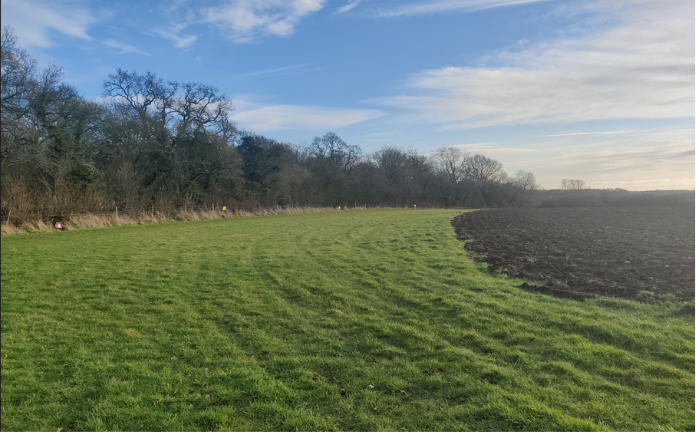 Walk 5 – To Stock Wood and return – 2½ miles – Hullavington Village